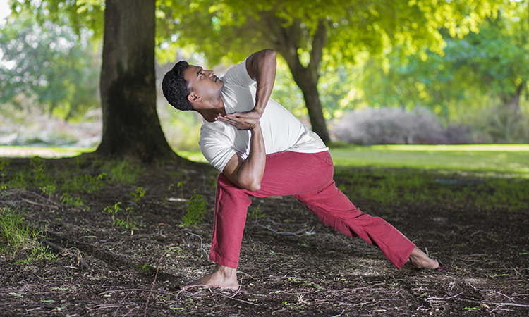 Tired of Aches and Pains? Start Individual Yoga Classes with Gokul Ram